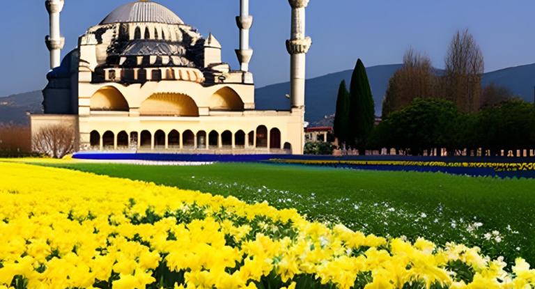 Nergis çiçeği hikayesi, anlamı ve özellikleri - 2023 Güncel
